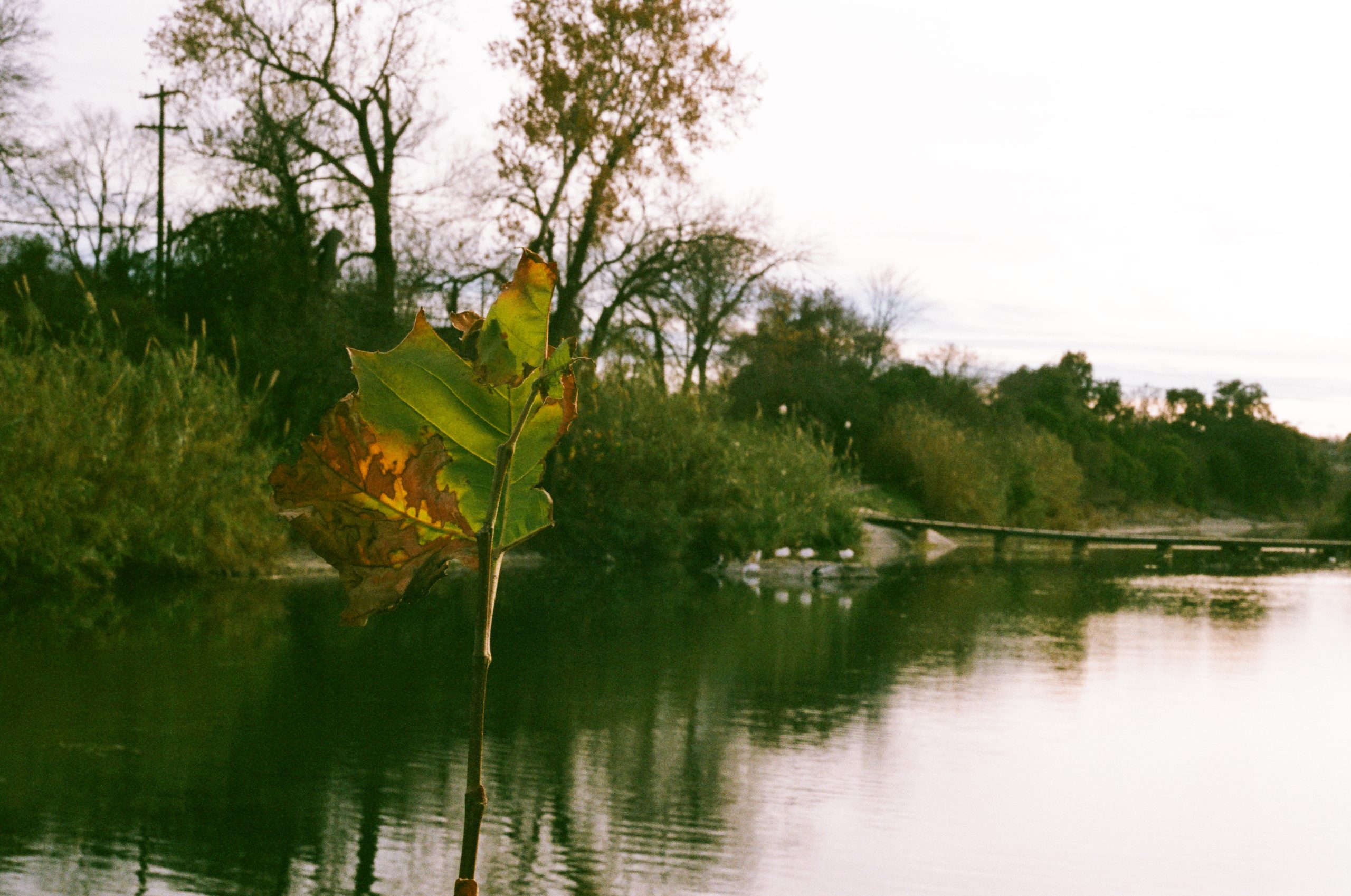 How to Photograph Landscapes: Tips for Epic Nature Shots - 4951 Studios ...